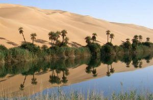 Oasi nel deserto, cosa sono e come si formano