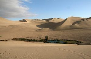 Oasi nel deserto, cosa sono e come si formano