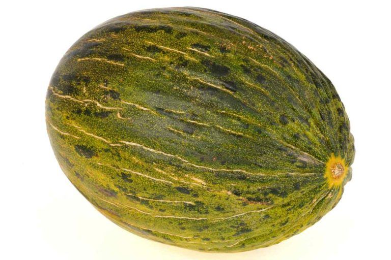 Meloni invernali, il gusto prelibato: proprietà e benefici del frutto ...